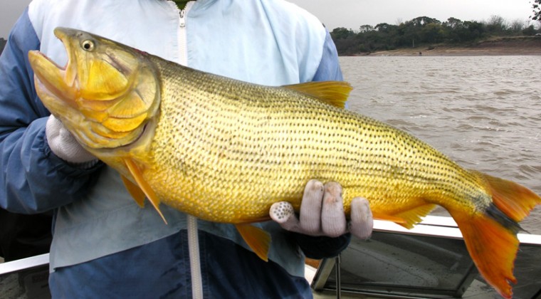 Kos en Kultuur – Coetzeeblog 2